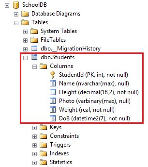 Data Annotations Column Attribute In Ef Ef Core