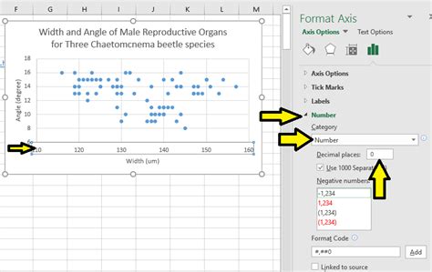 Graphing With Excel MS BAGBY AP BIOLOGY