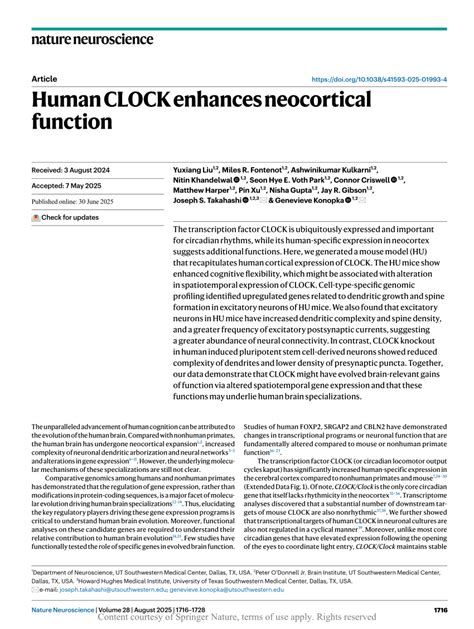 Human Clock Enhances Neocortical Function Request Pdf