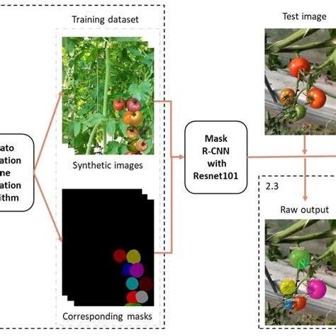 Some Examples Of Tomato Segmentation Top And Growth Stage Recognition