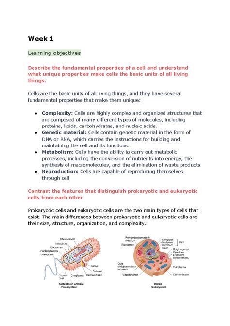 Living Cell Midterm Notes Week Learning Objectives Describe The Fundamental Properties Of