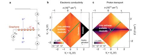 Graphene Switch Combines Logic And Memory Functions In A Single Device