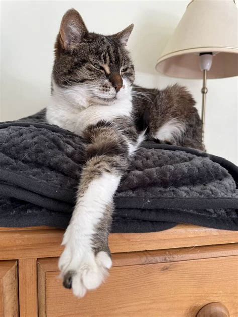 Nigel Pickering Nigel Pickering Added A New Photo