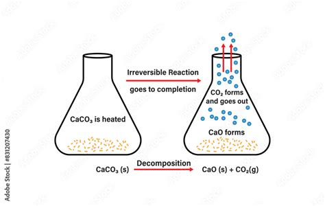 Irreversible Reactions Irreversible Reaction And Dynamic Equilibrium Vector Scientific Graph