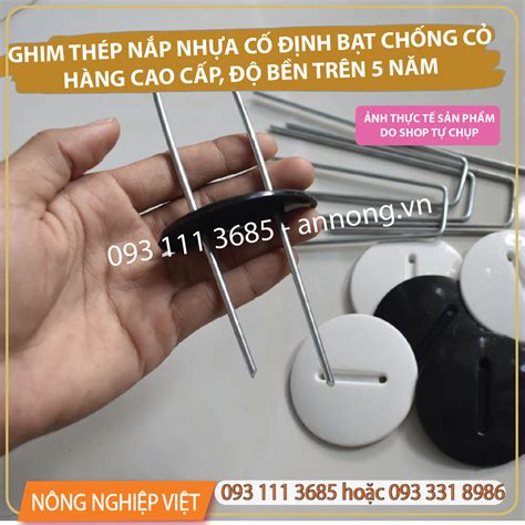 Ghim Th P Ch U C N P Nh A Inh Ghim Th P C Nh B T Ph Ch Ng C Ghim Th P Ch U Ch U