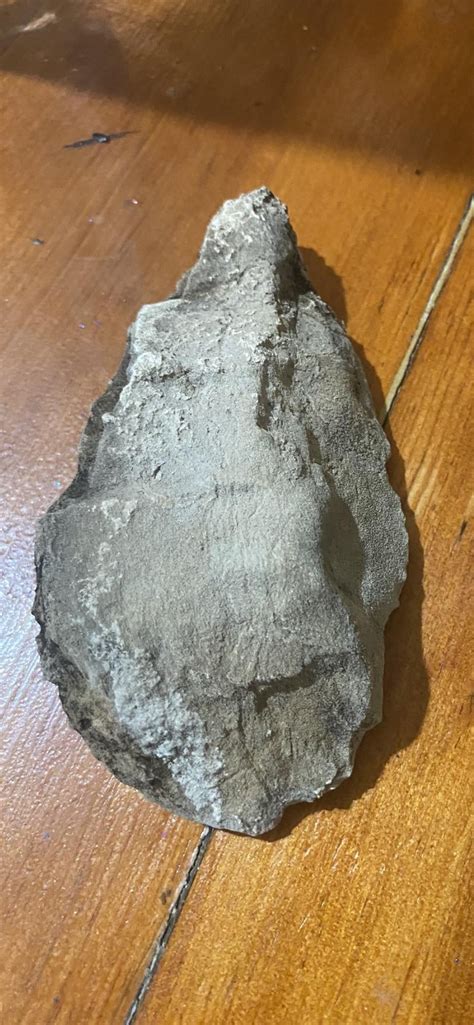Is This A Fossilized Conch Shell Rfossilid
