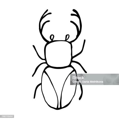 Art Illustration 딱정벌레 벌레의 색칠 공부 페이지 곤충 윤곽선 벡터 아이콘 벽지 손으로 그린 낙서 스타일 흰색 바탕에 고립 된 검은 선 곤충에 대한 스톡 벡터