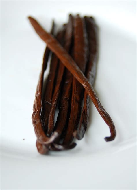 For The Love Of Leaves Make Your Own Vanilla Extract A Giveaway