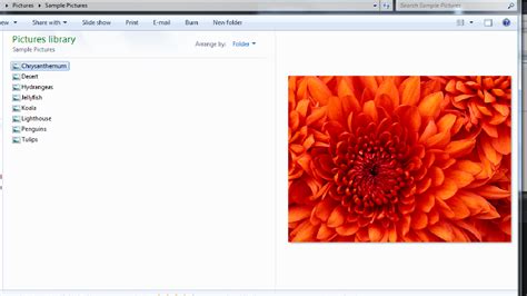 Wpf Thumbnail Datagrid Implementation C Stack Overflow