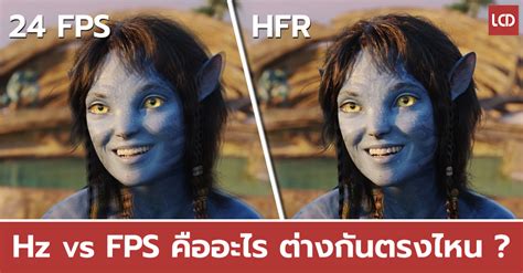Hz vs FPS คออะไร ตางกนตรงไหน LCDTVTHAILAND