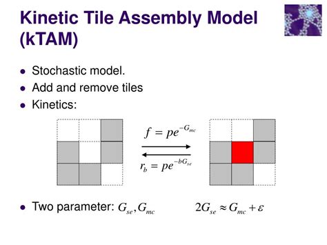 ppt robust self assembly of dna powerpoint presentation free