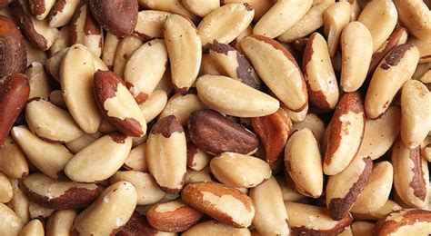Selenium Uses In Everyday Life