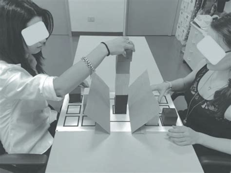 Picture Of A Dyad Performing The Tower Building Task Download Scientific Diagram