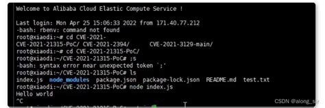 Javascript框架 Nodejscve202121315nodejs Systeminformation Csdn博客