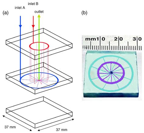 Polymers Special Issue Microfluidic Assisted Synthesis And Modification Of Polymeric Materials