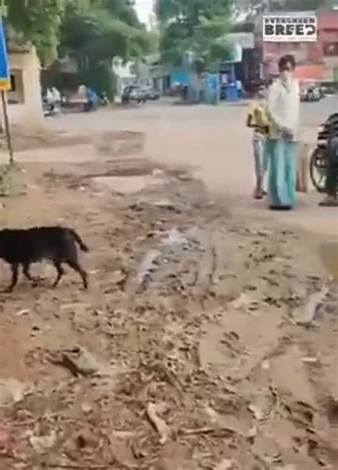 Srikanth Talari Posted On Linkedin