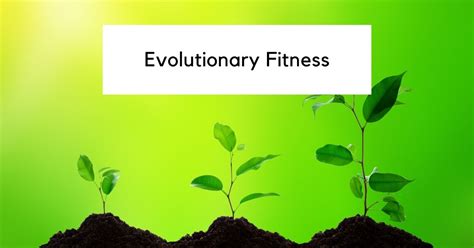 What Is Evolutionary Fitness And How Is It Measured