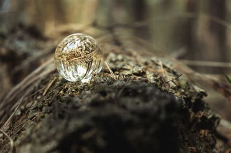 환경 개념 크리스탈 공은 숲의 이끼에 놓여 숲의 반사 개념과 자연의 주제 환경 보호 휴식 유리 재료 0명에 대한 스톡 사진 및 기타 이미지 Istock