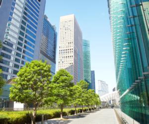 Tree Protection Law Changes In The ACT Griffin Legal