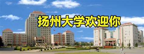 扬州大学广播电视考研重点 知乎