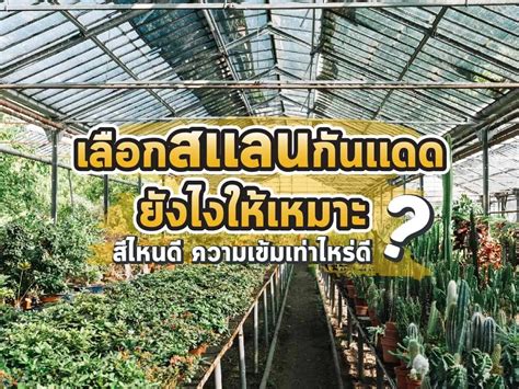 สาระน่ารู้ Yingtanoo คนยิงธนู