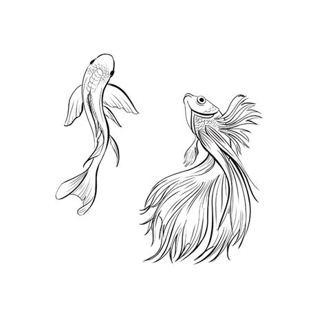 Koi Fish Clip Art Black And White 5771831 Clipart Library