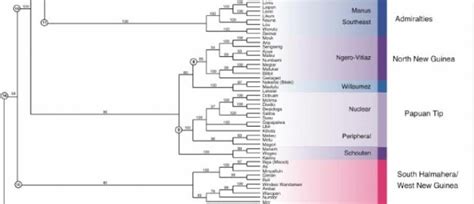 Asal Usul Bangsa Dan Budaya Lapita The Forgotten Motherland