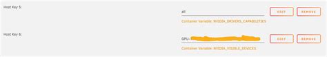 Plex Barely Seems To Use Gpu And Gpu Not Visible Runraid
