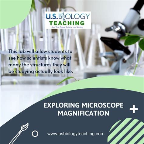 exploring microscope magnification
