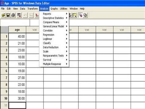 Week 1 SPSS Assignment Complete Docx Week 1 Data For Exercise Data Set Description Youth Sav