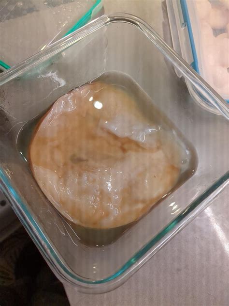How Old Is Too Old For A Scoby Rkombucha