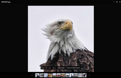 Photosphere Photo Backup And Sharing Device Review Apples And