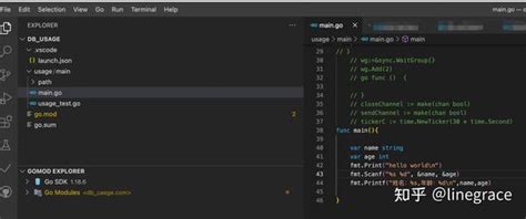 vscode go语言 C语言 JAVA C scanf 使用 控制台互动 控制台输入数据 vscode 终端