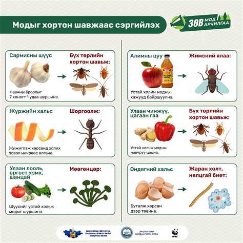 Гэмт хэргээс урьдчилан сэргийлэх ажлыг зохицуулах зөвлөл ЗӨВЛӨГӨӨ Хортон шавж нь өөр өөрийн