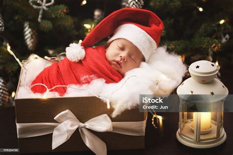 산타 클로스 모자를 입고 귀여운 신생아는 크리스마스 선물 상자에서 자고있다 가문비나무에 대한 스톡 사진 및 기타 이미지 가문비나무 갈란드 장식품 공휴일 Istock
