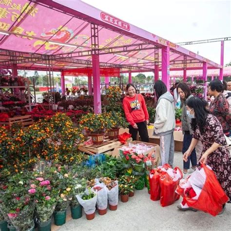 送福利行花街睇龙王佛山这里开启广府年味PLUS模式 澎湃号政务 澎湃新闻 The Paper