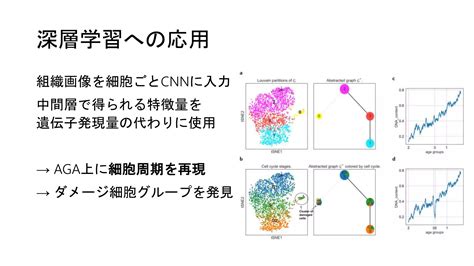 wolf et al graph abstraction reconciles clustering with trajectory inference through a