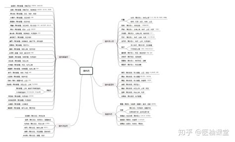 中药学 思维导图分享 知乎