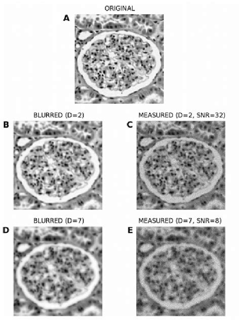 Iterative Shrinkage Approach To Restoration Of Optical Imagery