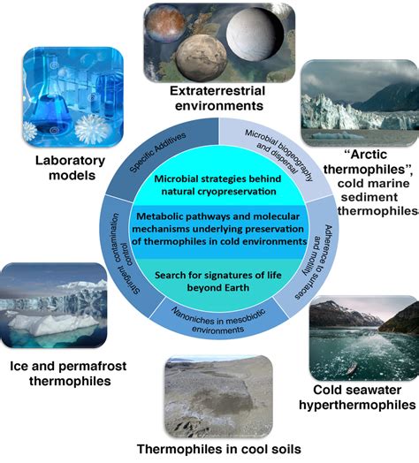 A Conceptual Framework For Comprehensive Assessment And Understanding