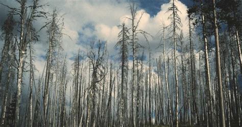 Programming Webdevelopment Devops Codingtutorials Technews Haim