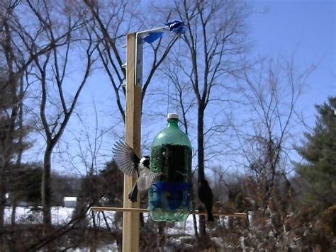 Make A Bird Activity Monitor And Feeder With Arduino Make