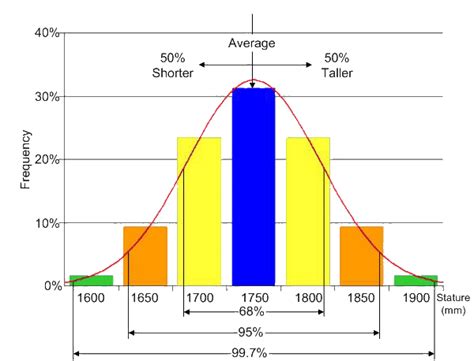 Ap Statistics Mrs Wroblewski