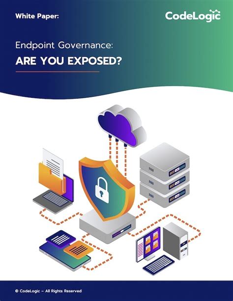 Codelogic On Linkedin White Paper Endpoint Governance Are You Exposed
