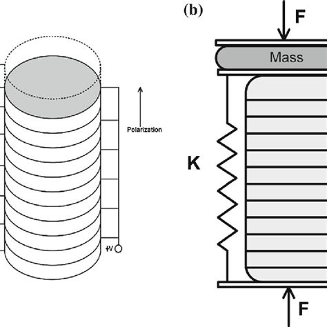 Pzt Actuator In Axial Configuration A A Stack Of Thin Ceramic Disks
