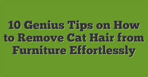 10 Genius Tips On How To Remove Cat Hair From Furniture Effortlessly