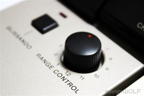 Casio Ct 6000 Keyboard 1984 Wolf Collections