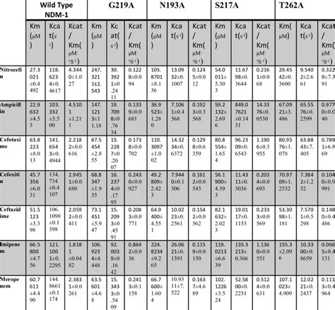 Steady State Enzyme Kinetics Of Wild Type Ndm 1enzyme And Ndm 1 G219a