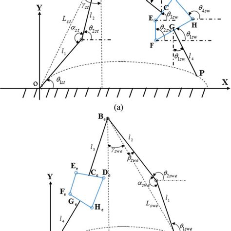 Lle During A Gait Cycle A Swing Phase And B Stance Download Scientific Diagram