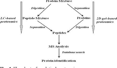 Figure 1 From Comprehensive Proteome Analysis Using Quantitative Proteomic Technologies
